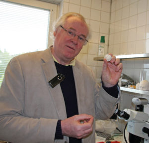 Mer fritid för Rask-Andersen - Auris