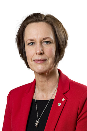 Årlig avgift föreslås - Auris