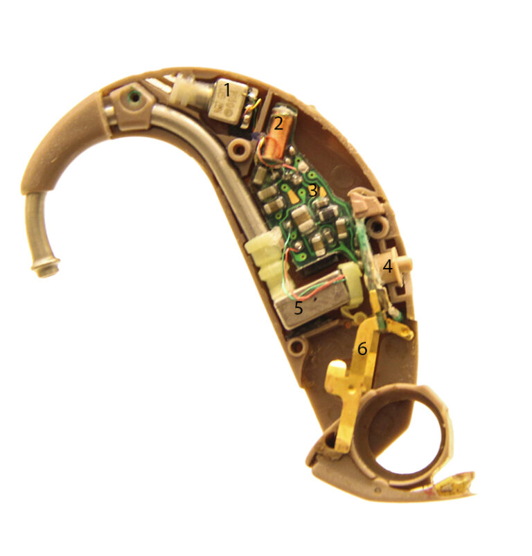 Ta en titt i hörapparatens inre - Auris